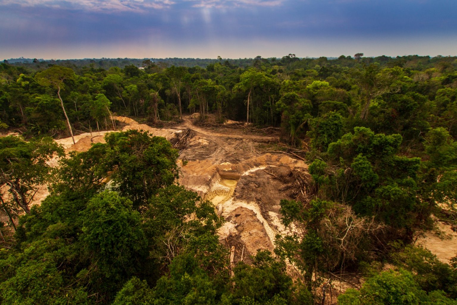 Amazon rainforest reaching ‘tipping point’ – Terrain-AI